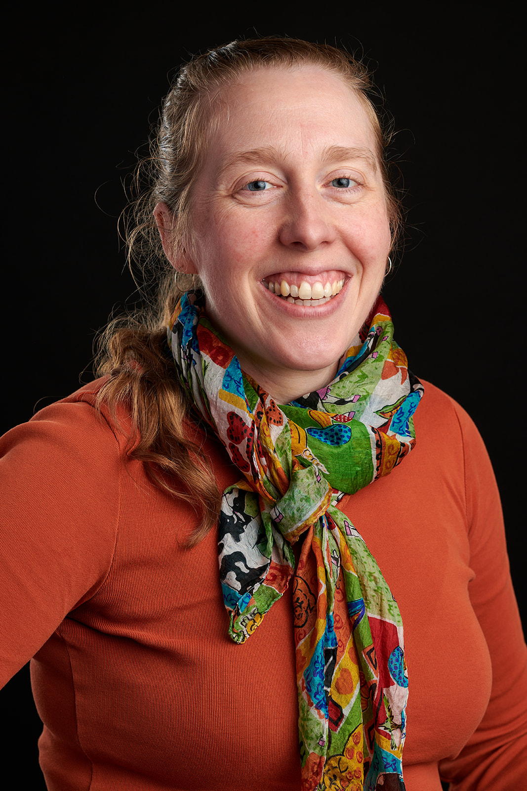 Work for Treasurer – Sarah Work, CPA for SC Senator